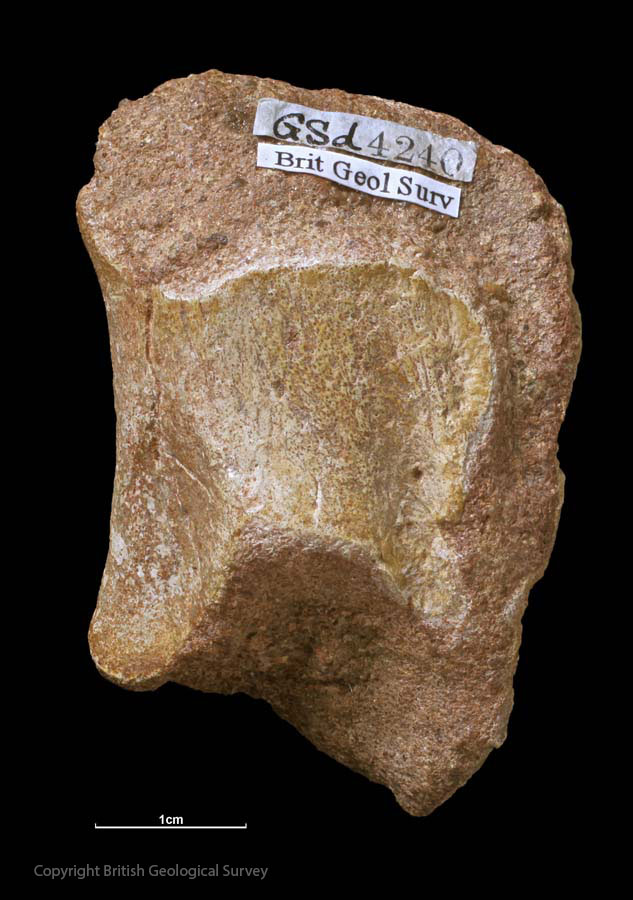 At the Water's Edge 2020 - Elgin Museum